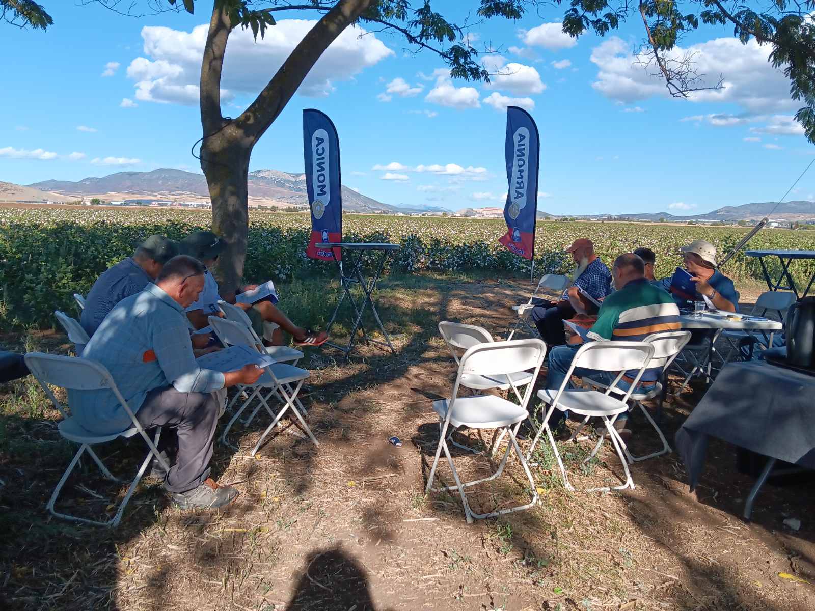 field days 2024